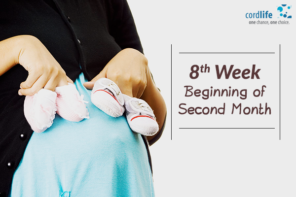 Eight Week – Completion of Second Month - Cordconnect - Cordlife India Blog