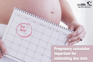Pregnancy Calculator Important for Estimating Due Date