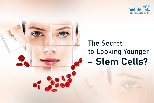 The Secret to Looking Younger – Stem Cells?