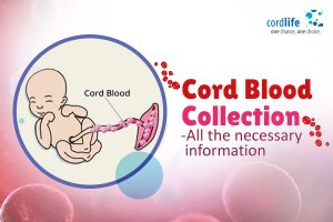 Cord Blood Collection Process – All the Necessary Information