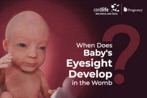 When Does Baby's Eyesight Development in the Womb?