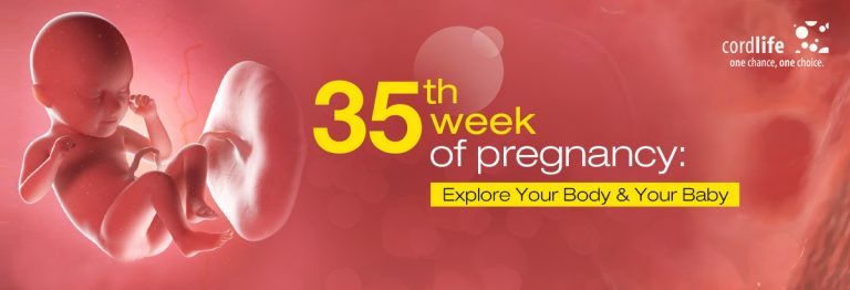 35th Week of Pregnancy: Explore Your Body and Your Baby