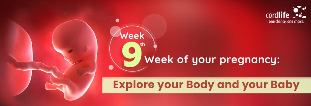 9th Week of Pregnancy: What’s Happening To Your Body and Baby